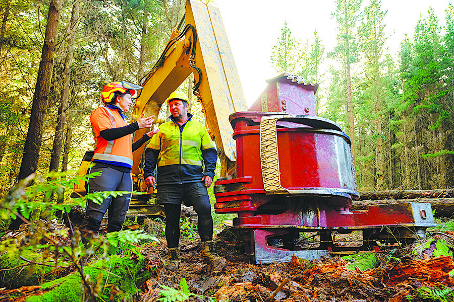 October 2021 Women in Forestry