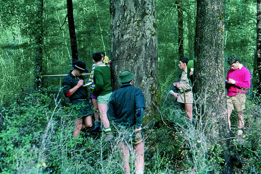 Nov 2024 Looking Back